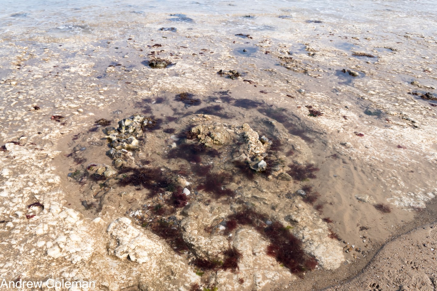 How were flints in chalk formed? – Geomusings