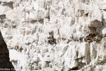 How were flints in chalk formed? – Geomusings