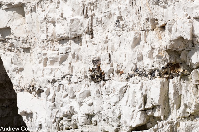 How were flints in chalk formed? – Geomusings