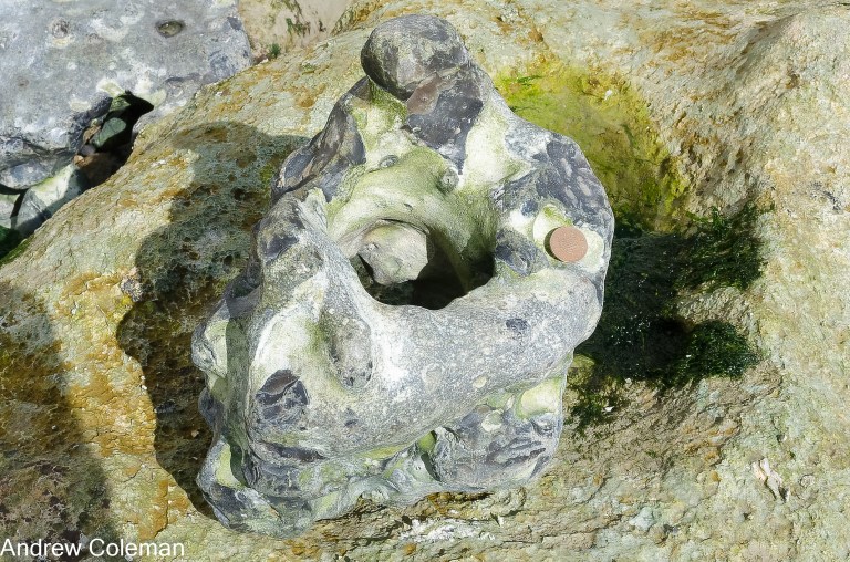 How were flints in chalk formed? – Geomusings