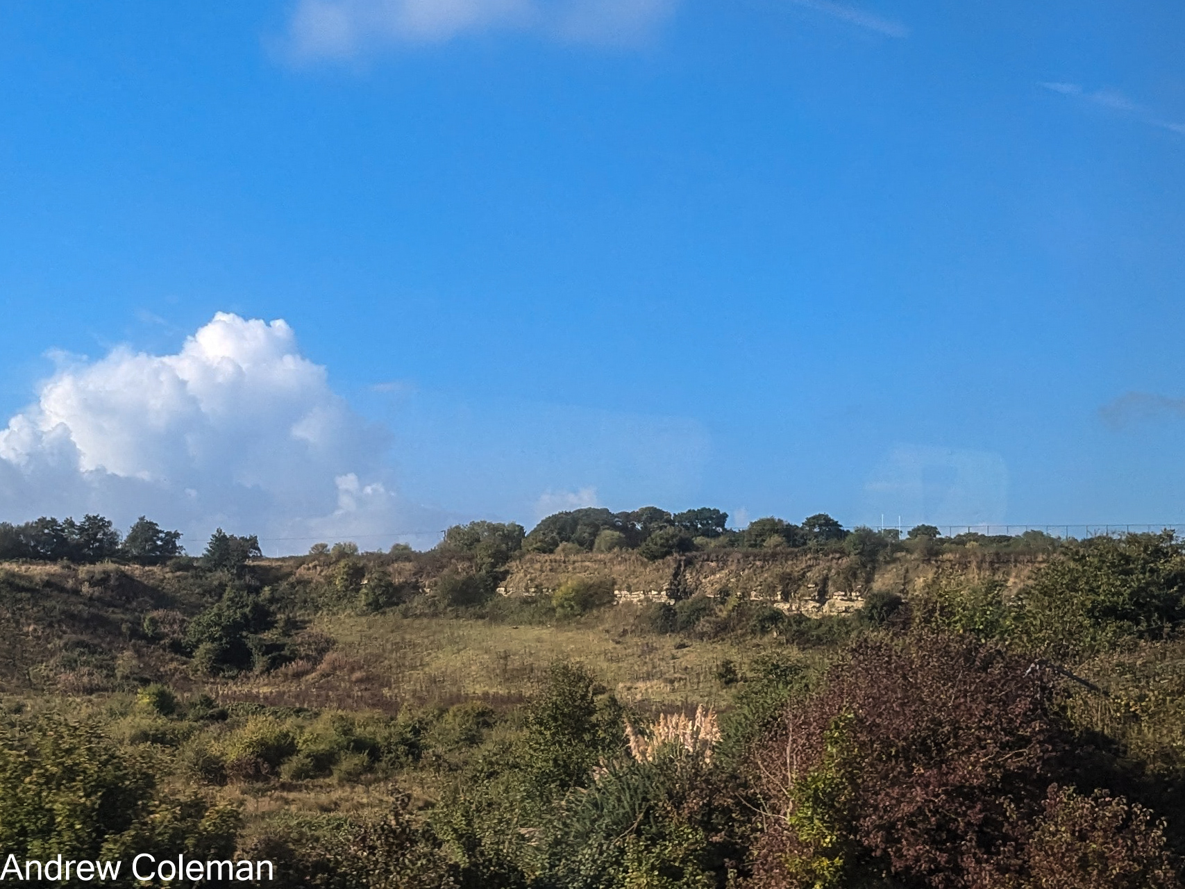 A large unmapped quarry with Folkestone Stone – Geomusings